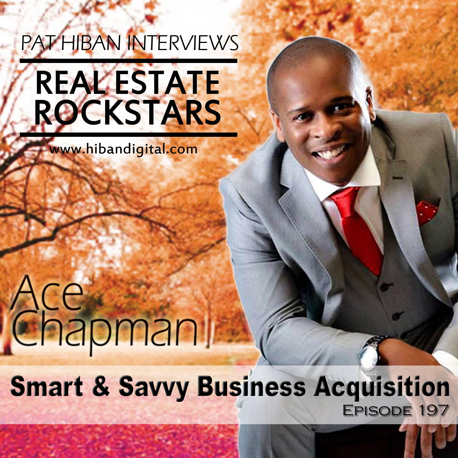 197: Ace Chapman: Smart and Savvy Business Acquisition - Real Estate ...