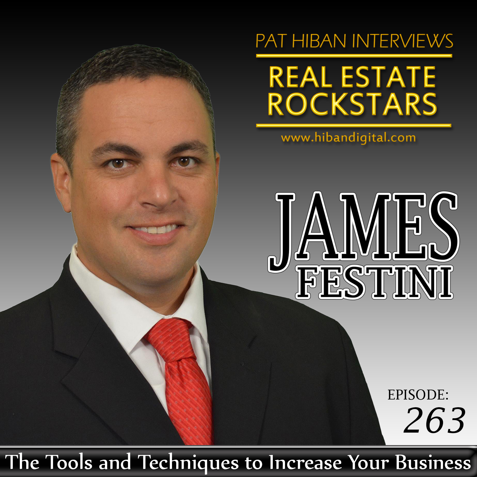 263: James Festini: The Tools and Techniques to Increase Your Business ...